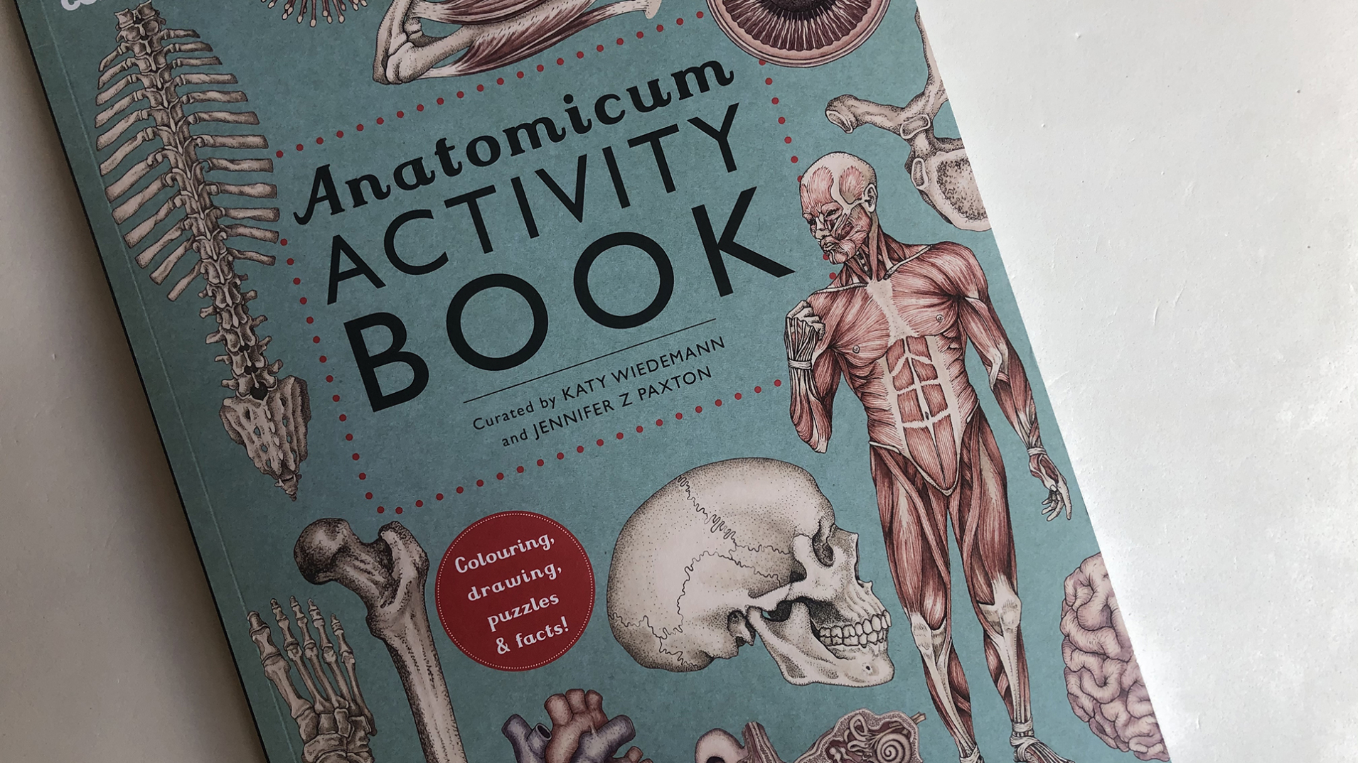 Anatomicum Activity Book by Katy Wiedemann and Jennifer Z Paxton ...