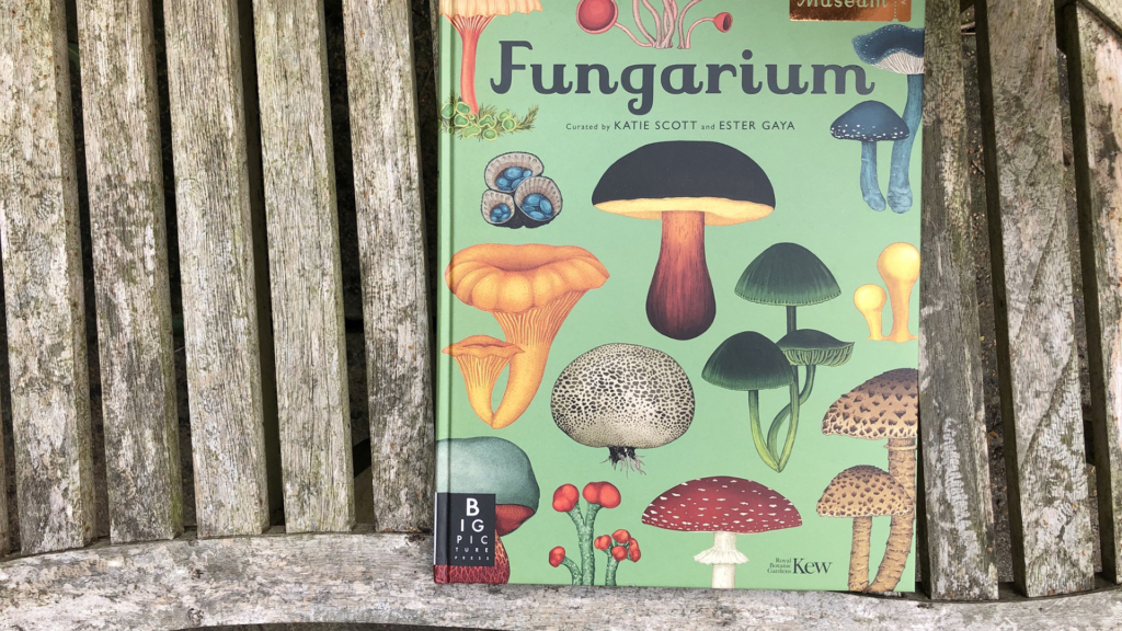 Fungarium by Katie Scott and Ester Gaya (Review) – BookMurmuration